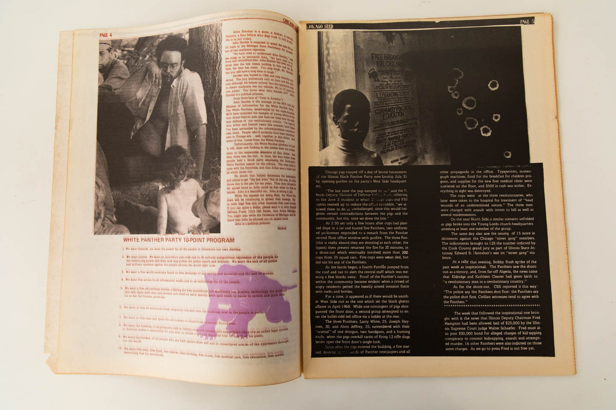 CHICAGO SEED Vol. 4 No. 4 – THESE DAYS