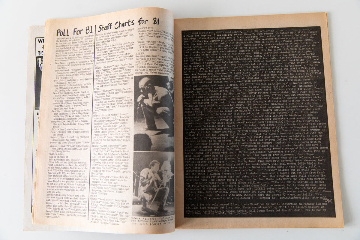 FLIPSIDE FANZINE | No. 30 – THESE DAYS