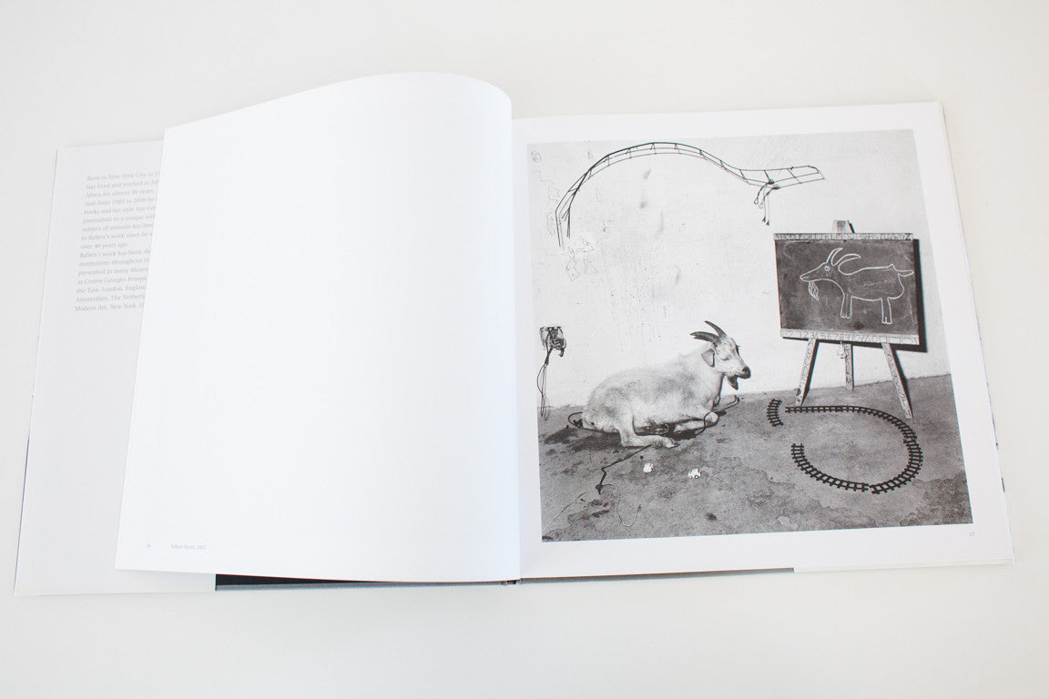 Animal Abstraction – THESE DAYS