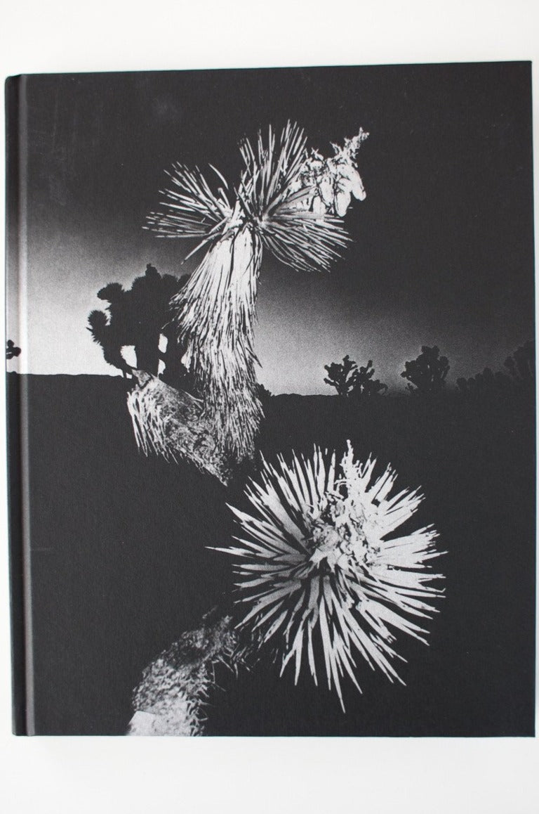 Horizon Icons – THESE DAYS