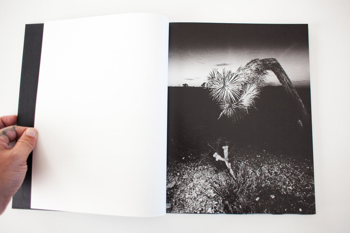 Horizon Icons – THESE DAYS