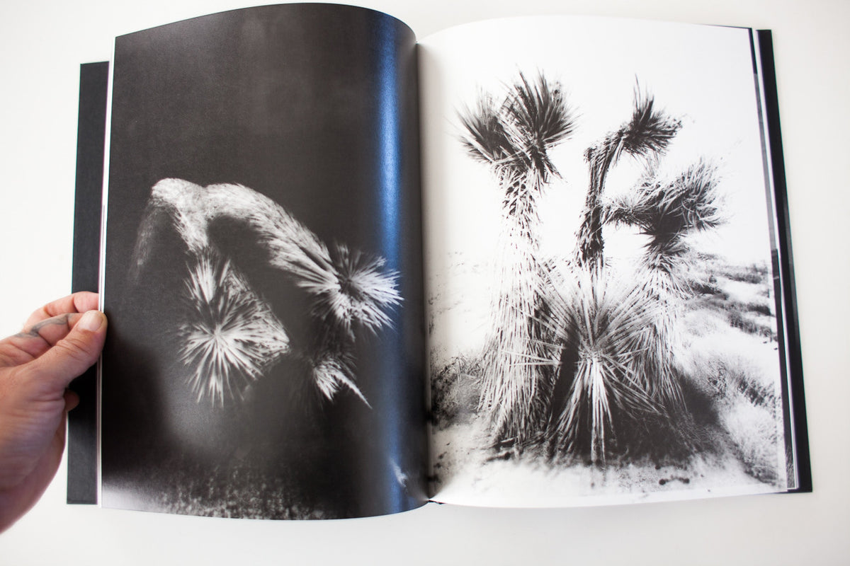 Horizon Icons – THESE DAYS