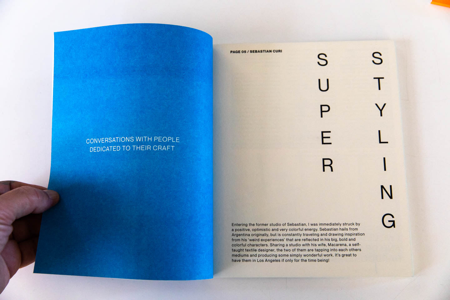 MR. WREN & FRIENDS | ISSUE 01 – THESE DAYS