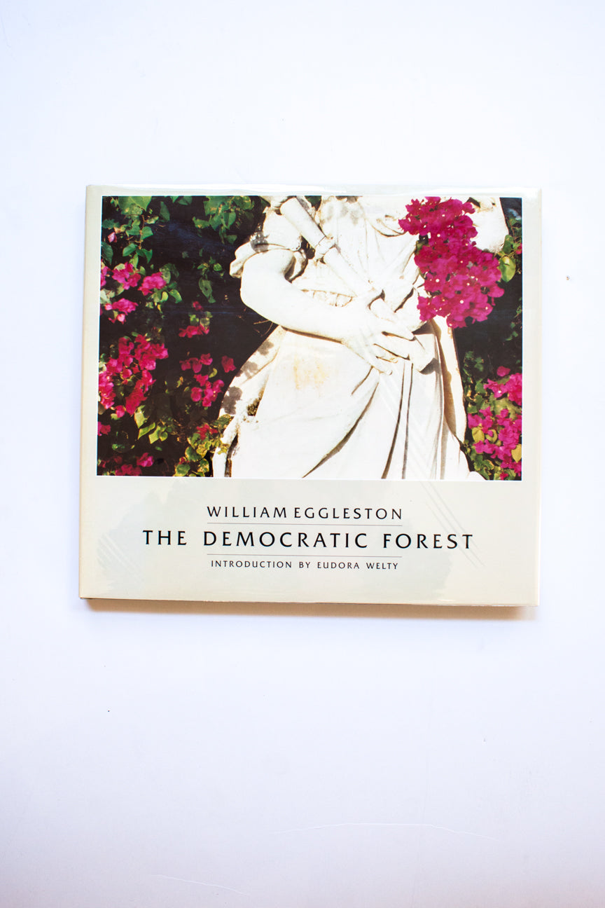 THE DEMOCRATIC FOREST – THESE DAYS